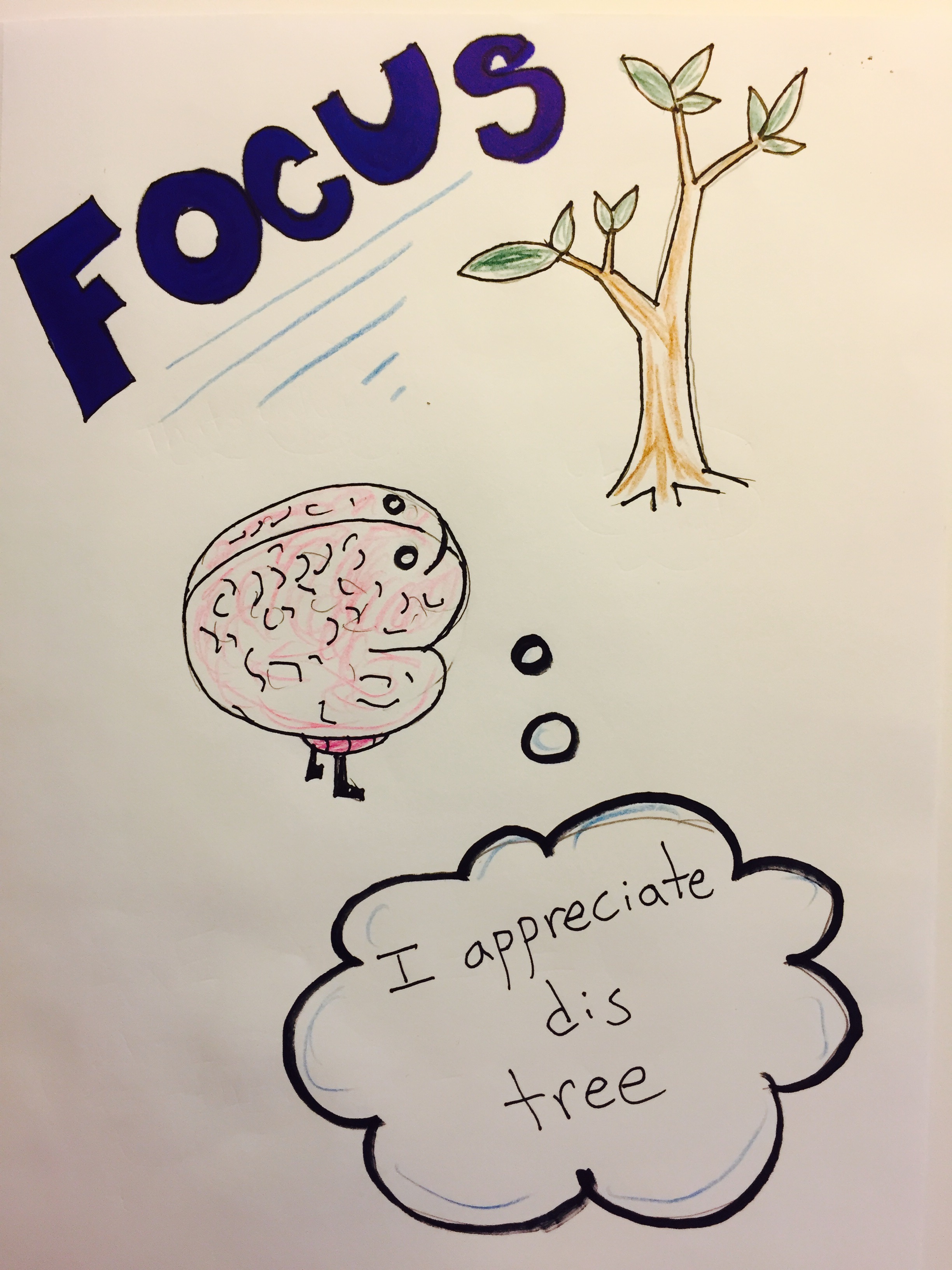 Focus – TylerJFord.com